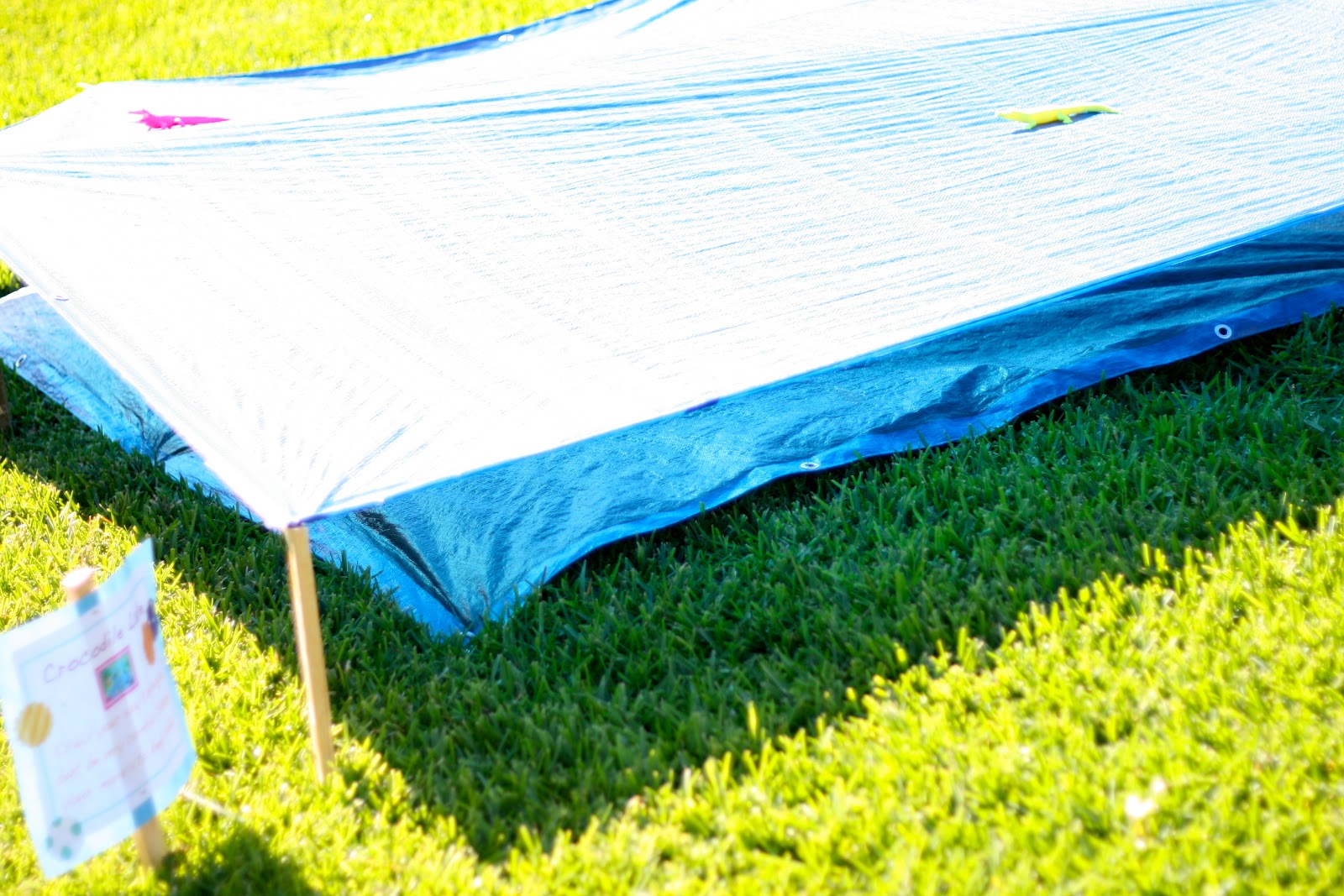 Mia's Dora Fiesta!!! | HLL Interiors