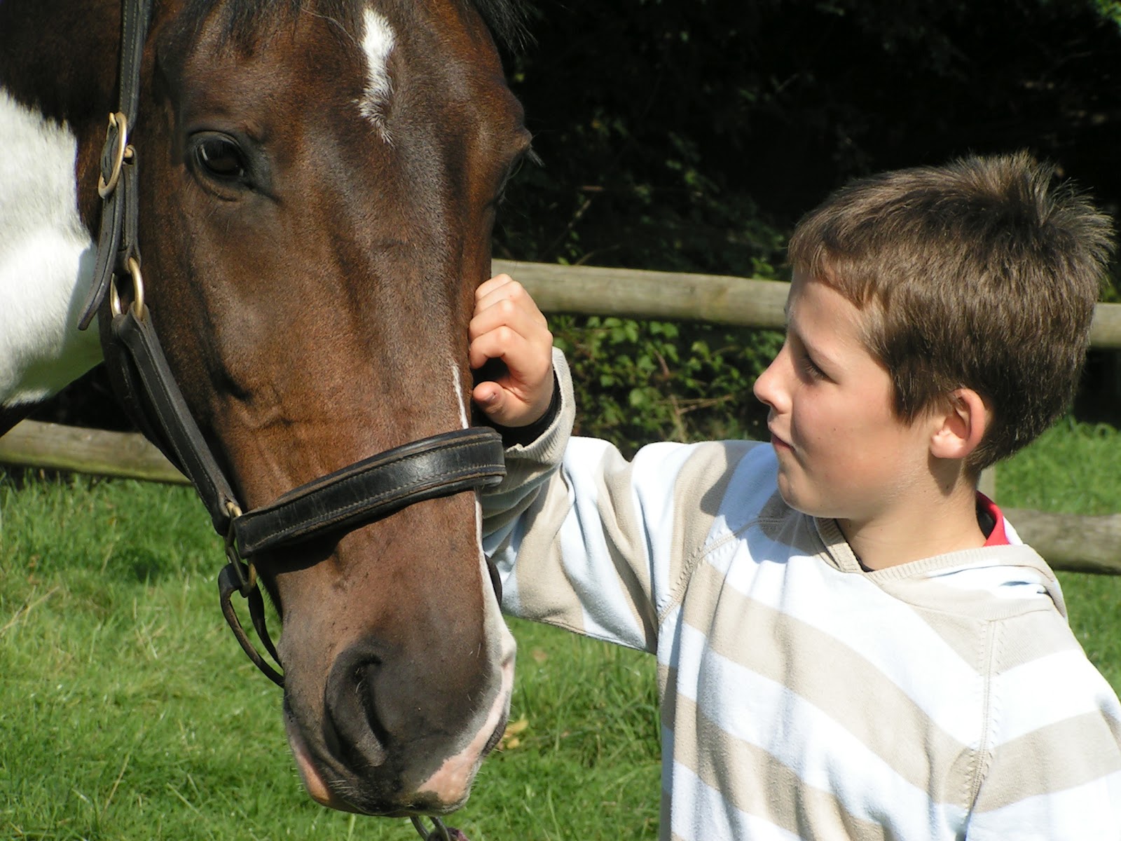 The High Sheriff's Charity Ride, 16th-23rd September 2012: Finishing ...