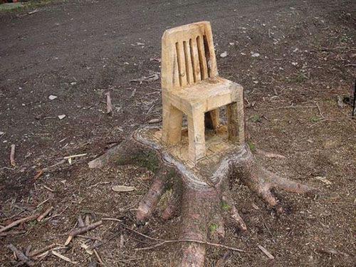 A-Chair-Made-Of-Tree - Photography Inspirations Source