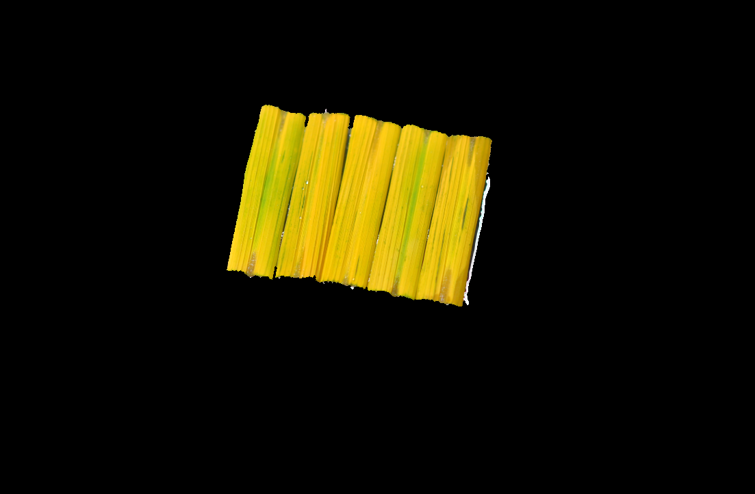 Qt And Opencv Segmenting Leaf By Opencv2 02 Segment Leafs To Single Leaf Part 1 8111