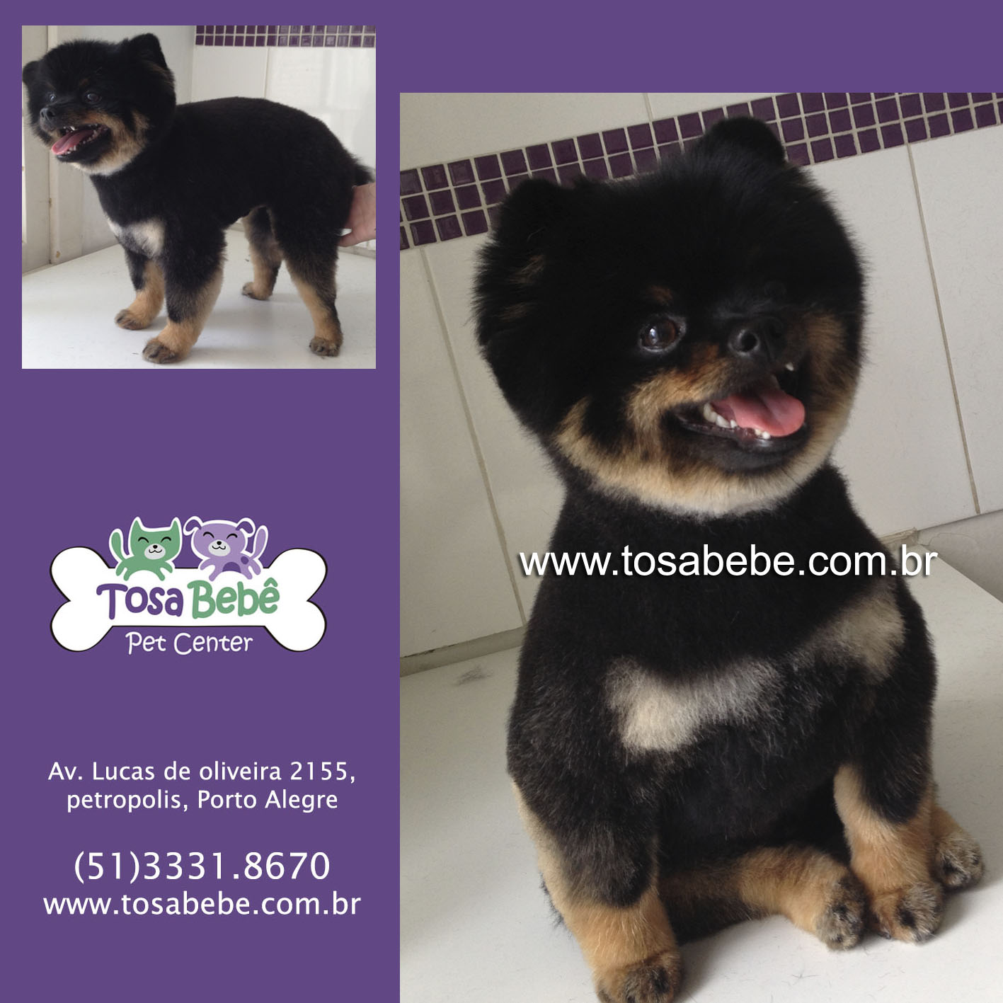 TOSA BEBÊ - TOSA VERÃO - TOSA TESOURA -TOSA PORTO ALEGRE: TOSA TESOURA ...