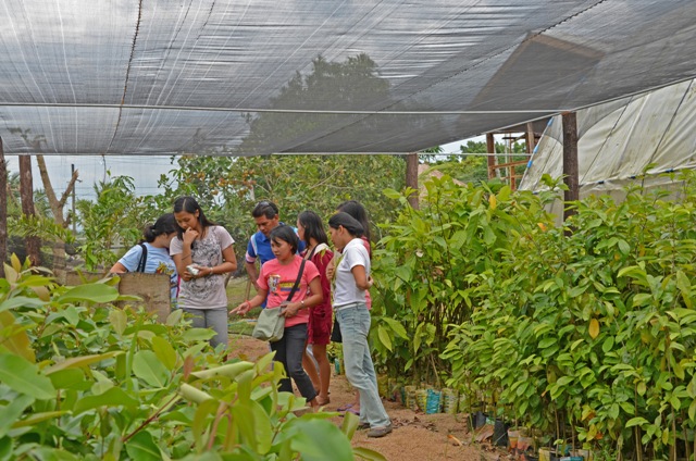 mybeautifulILOILO: MIDWAY: A Way Forward in Going Organic for Passi City