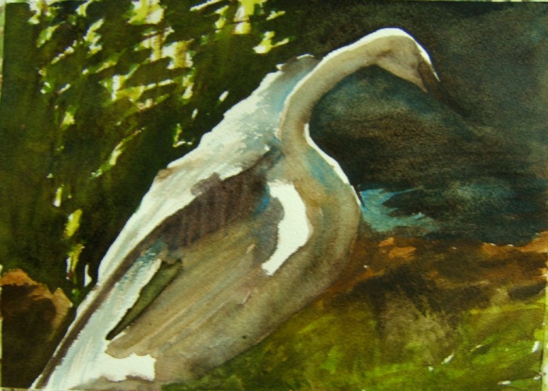 WATERCOLORS AND WORDS FINISHING THE NOTAN STUDIES watercolors-and-words-finishing-the-notan-studies