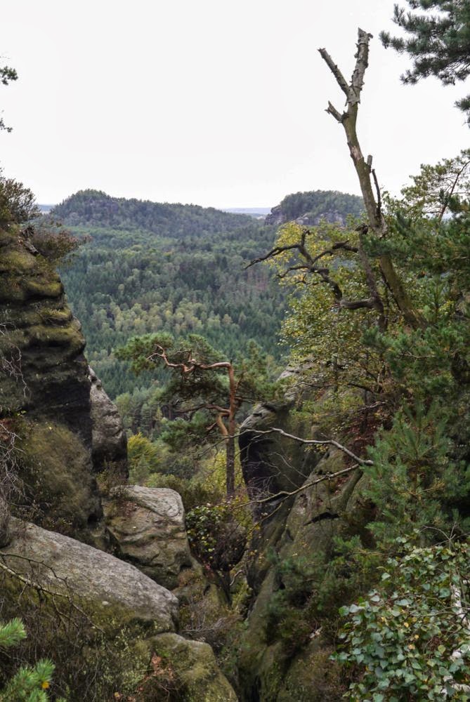 Sächsische Schweiz 2013 - Über die Bärensteine zum Rauenstein