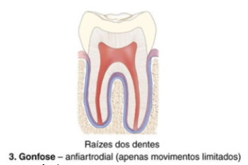 DICAS DE RADIOLOGIA - Tudo Sobre Radiologia: O QUE É ARTROLOGIA?