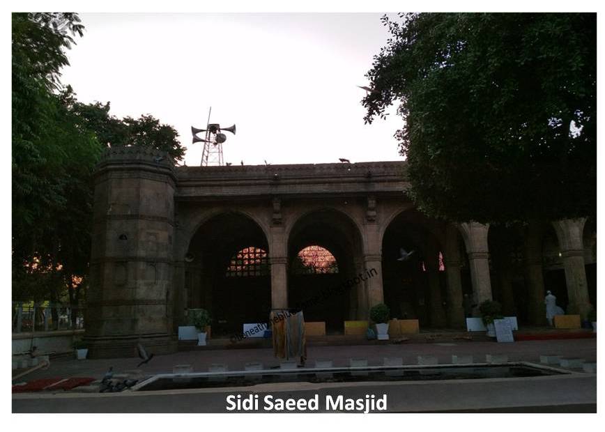 Visiting Sidi Saeed Mosque Ahmedabad - The Tree of Life Jaali Masjid