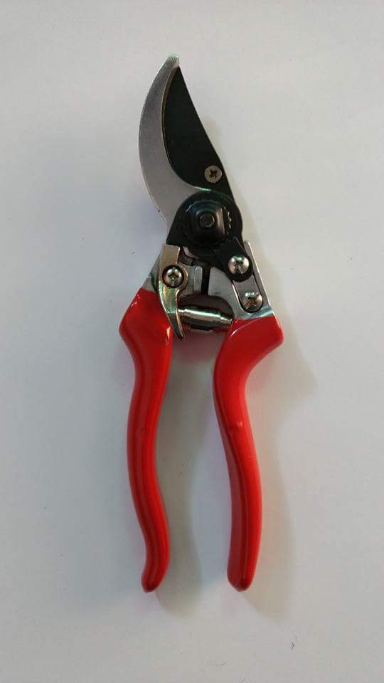 Secateurs India: Garden Plant Pruning Secateurs