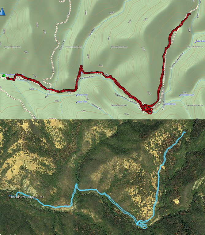 Gary-Summer: May 9, 2018 - Ladybug Trail to Whiskey Log Camp