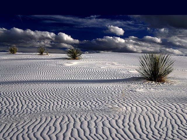 Best WallPapers: Desert Scene Wallpapers