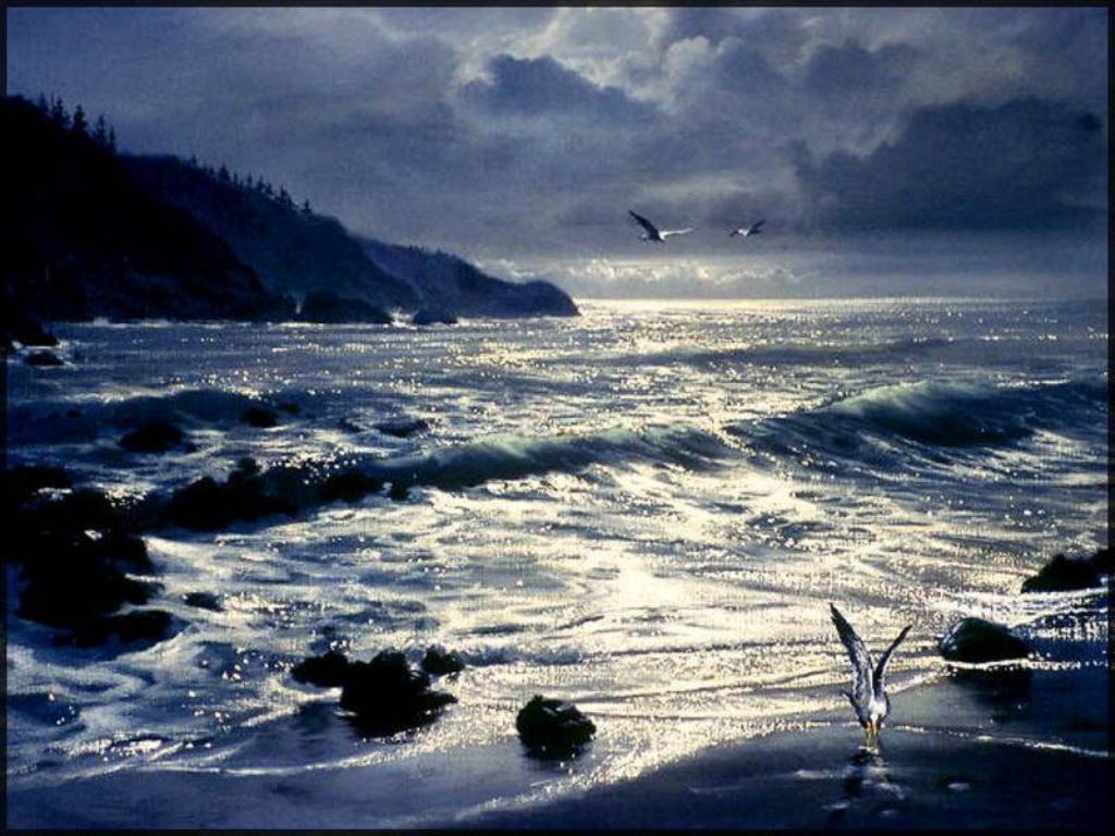 PHOTO PORTER: natural images album,natural image photos, nature ...