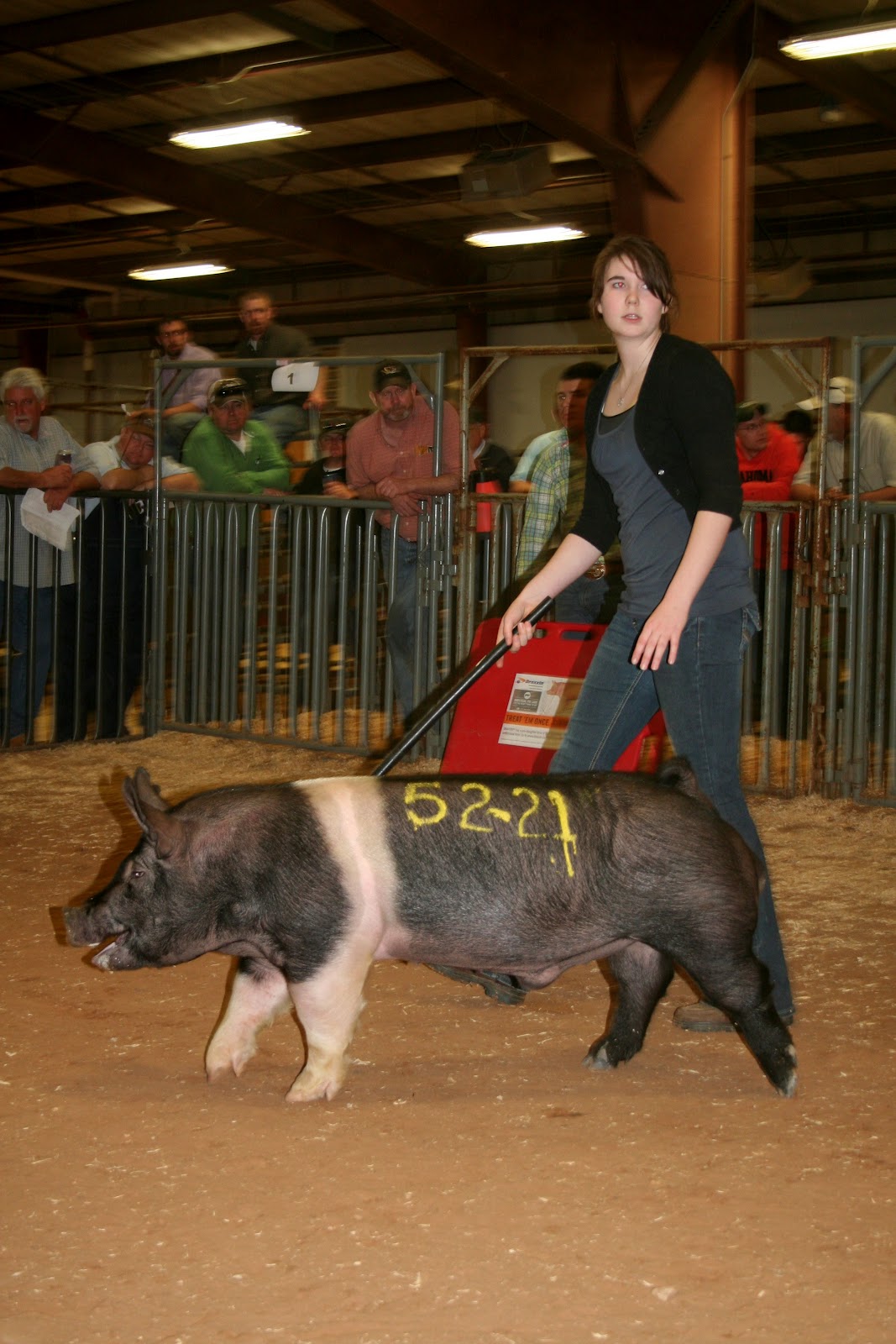 NSR Show & Sale Results: Southwest Type Conference Crossbred Boar Results