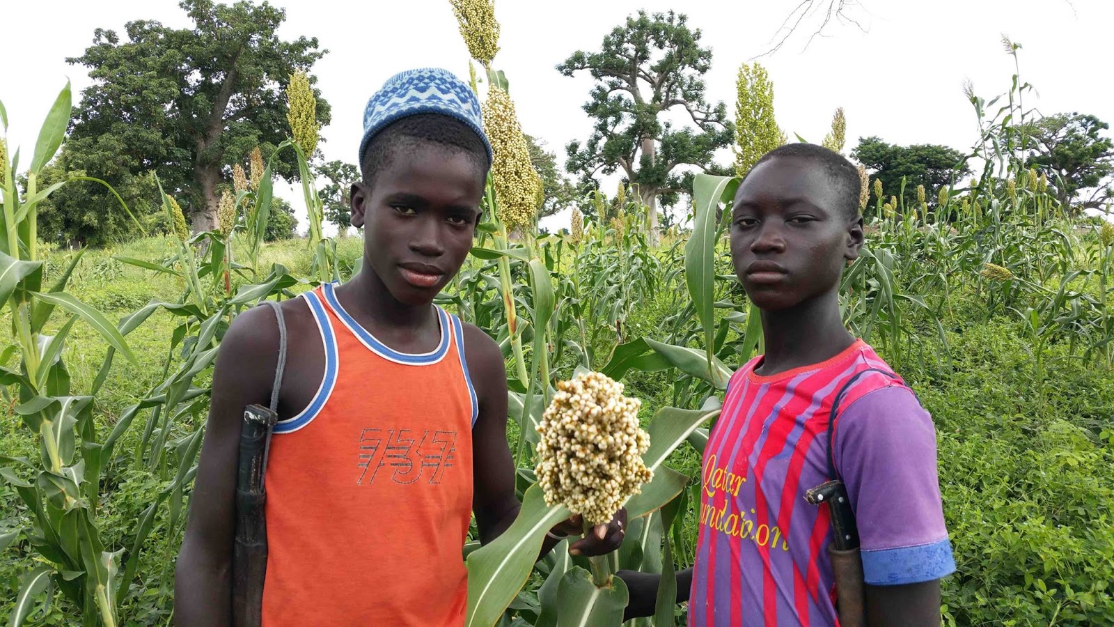 Bio Soleil Senegal & BioKids: Goed doen is iets anders dan iets goed doen