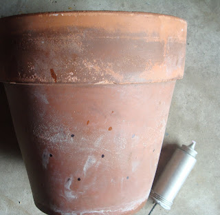 From Which Things Grow: Who Knew? How To...Jazz up Patio Pots & Containers