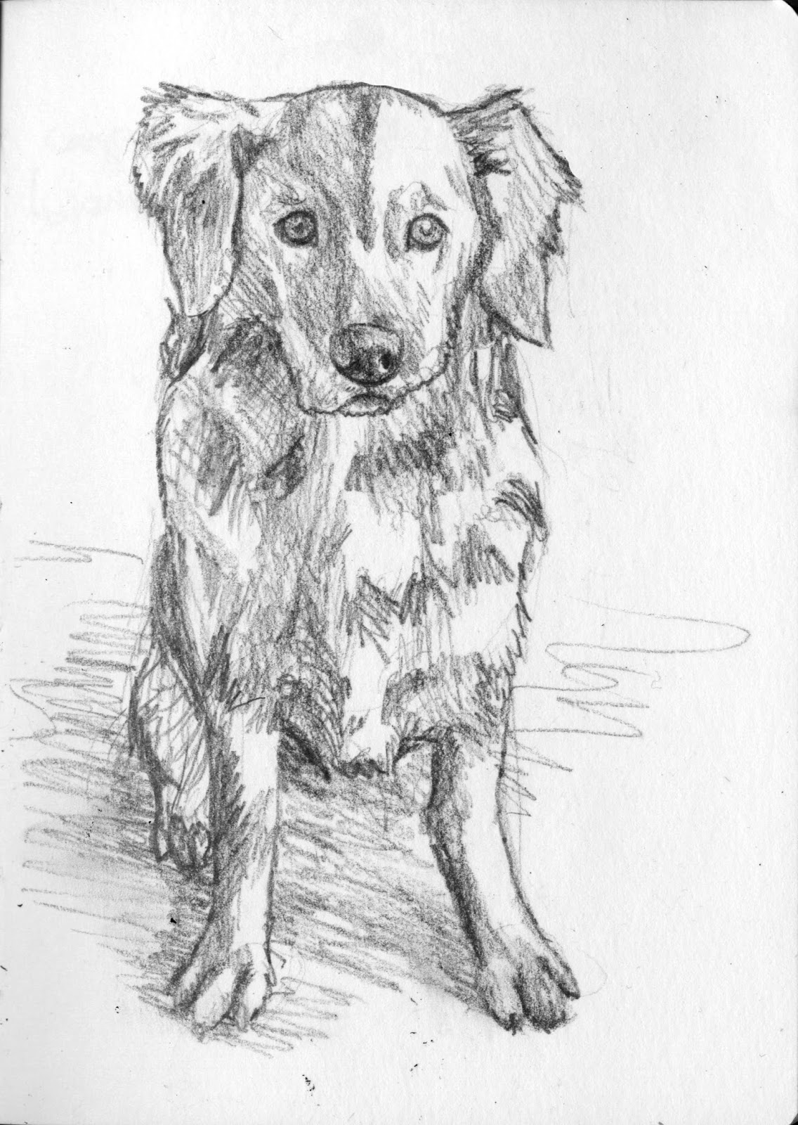 Emmas Kunstblogg: Hundevalp