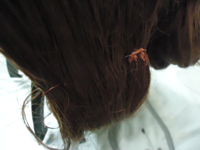 Evanescent Epoch~: Beatrix Wig Tutorial