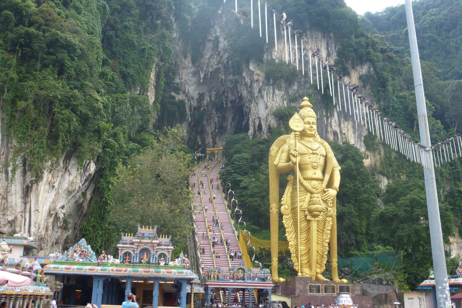 Malezja: herbata, historia, piękne plaże i dzika dżungla