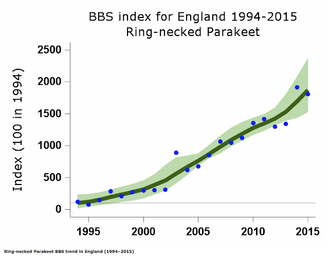 TrogTrogBlog: Bird of the week - Ring-necked parakeet