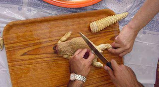 Worldbirder: The Spiny-tailed Lizard or Dhab in Arabia.