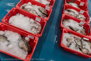 Through the Gaps! - Newlyn Fishing News: First fish auction after ...