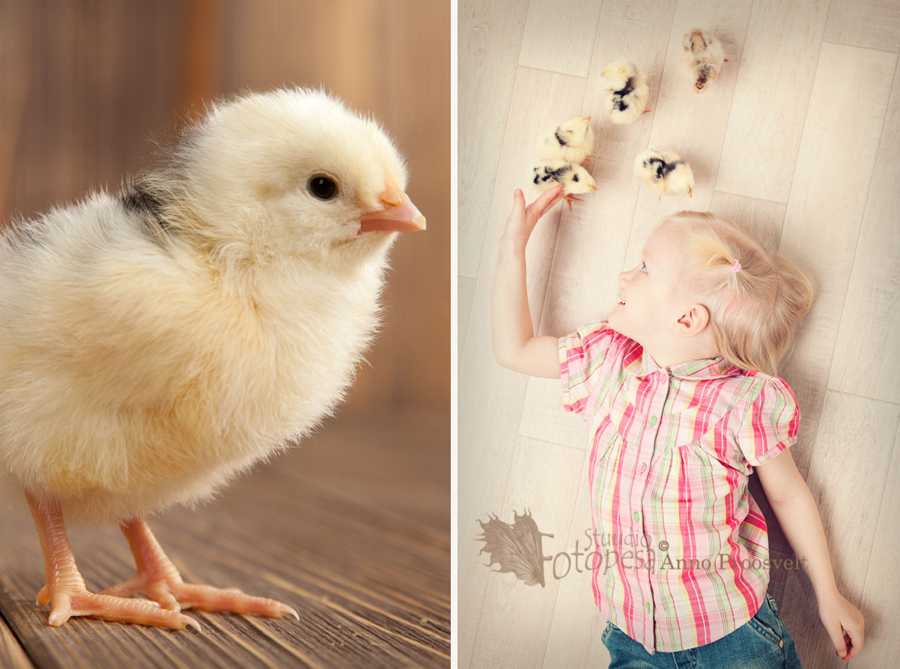 Tibudega fotostuudios vol 1 - Fotostuudio Fotopesa