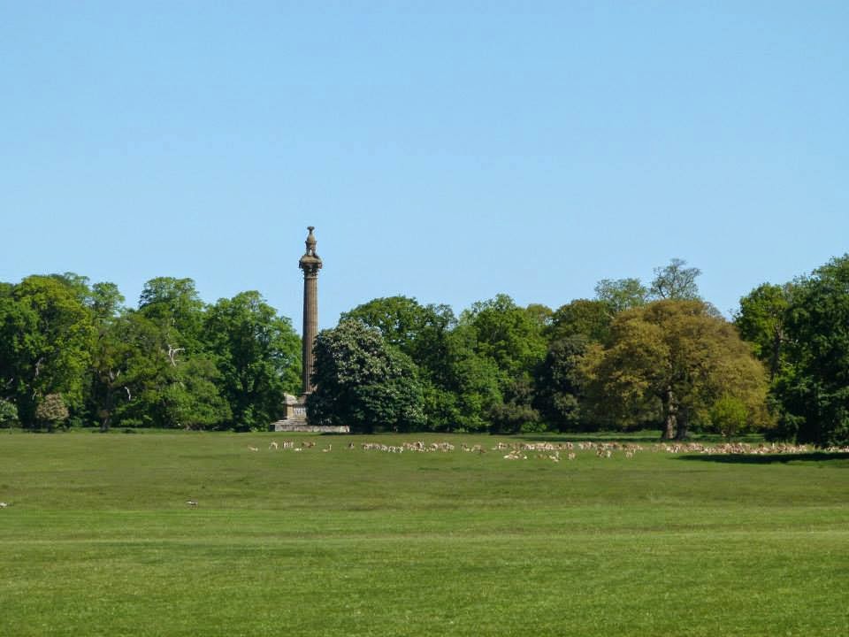 Travel - Norfolk in the Summer, Our stay at The Pigs Edgefield. - Roses ...