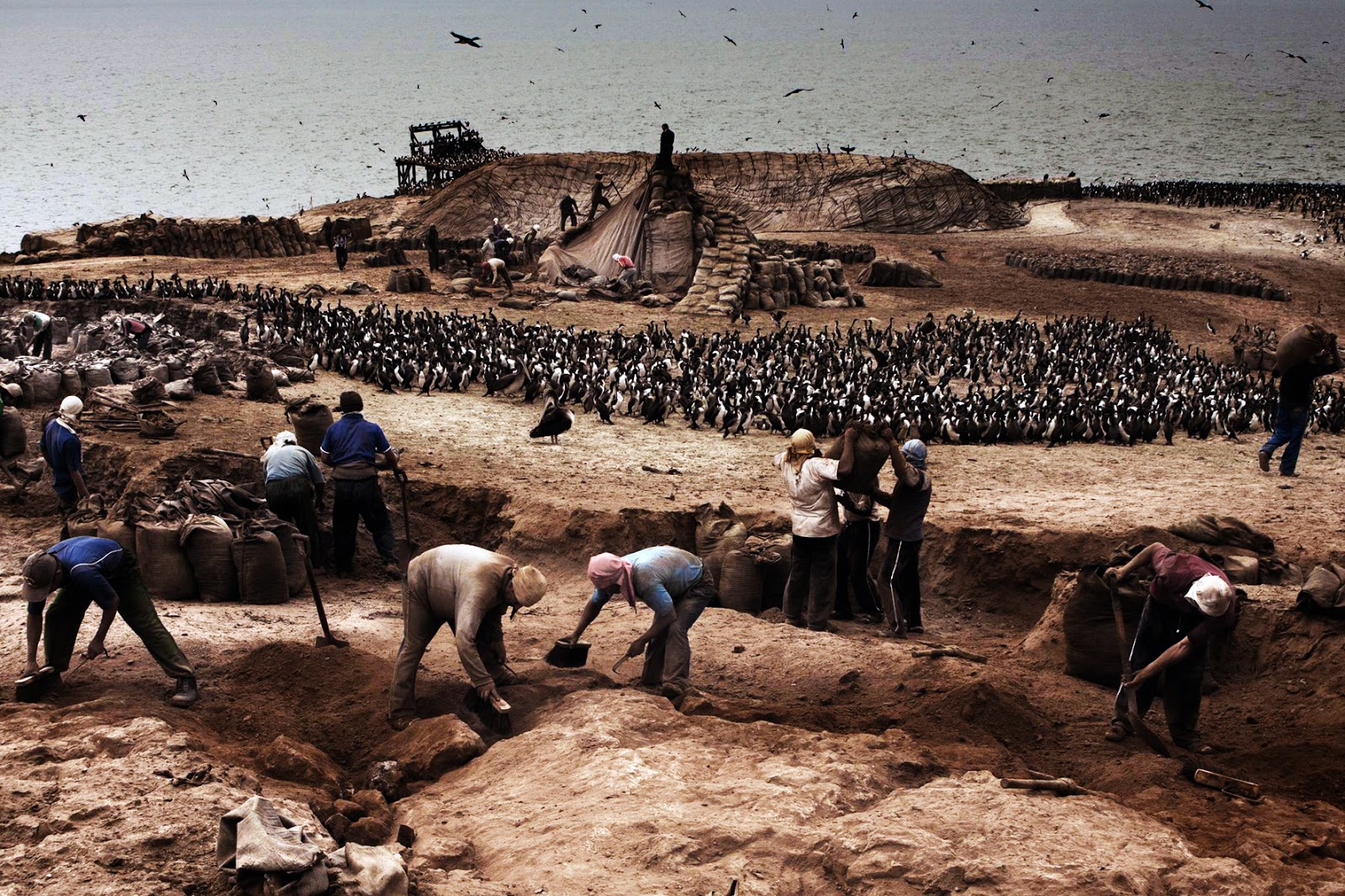 WINDSONG: GALWAY – GUANO, GOLF, AND GETHSEMANE