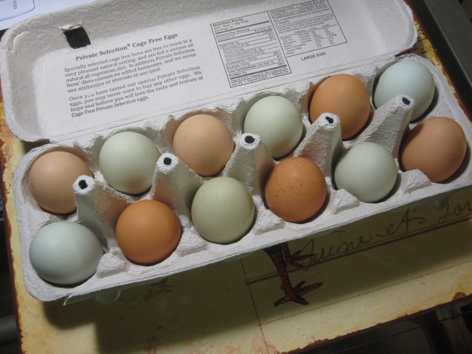 Tropical Texana: MY TROPICAL TEXANA EGG CARTON DESIGNS