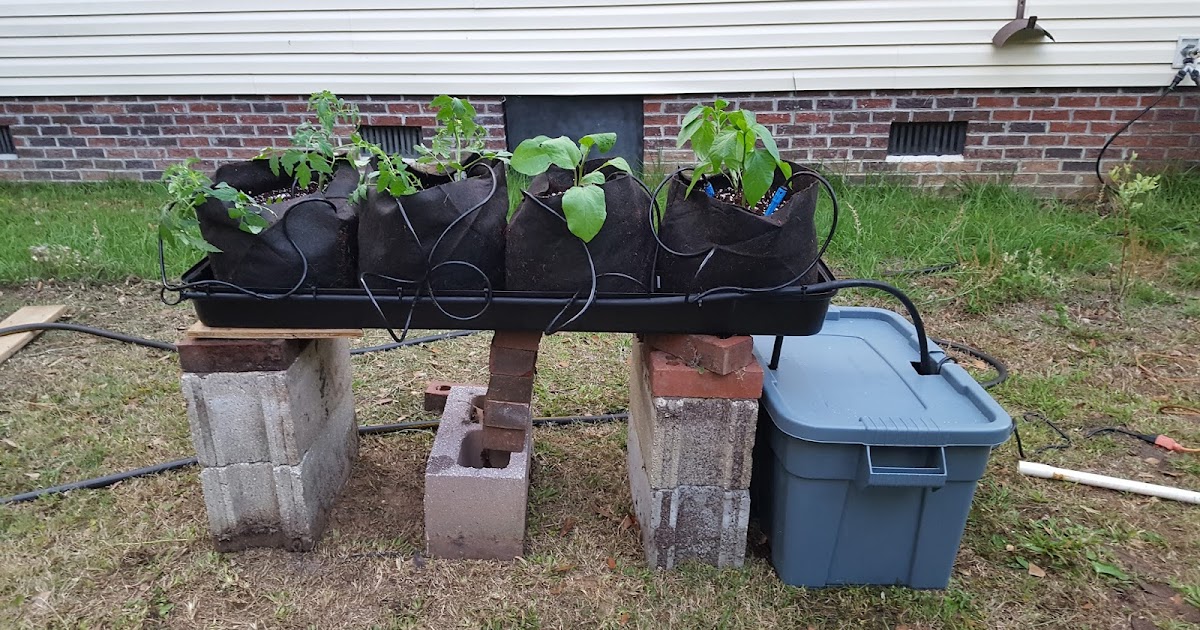 A Beginner Outdoor Drip Hydroponics System [DIY]