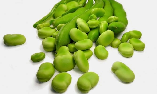 septiembre 2014 ~ Guía para plantar