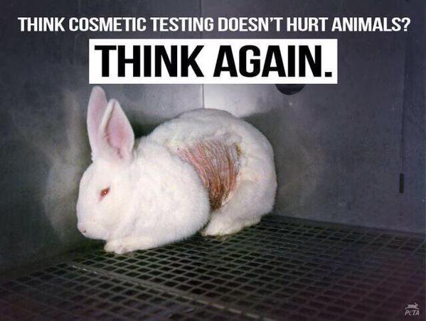 ERIN KAY WILLIAMS: Beauty's Dark Secret; Animal Testing By Big Brands