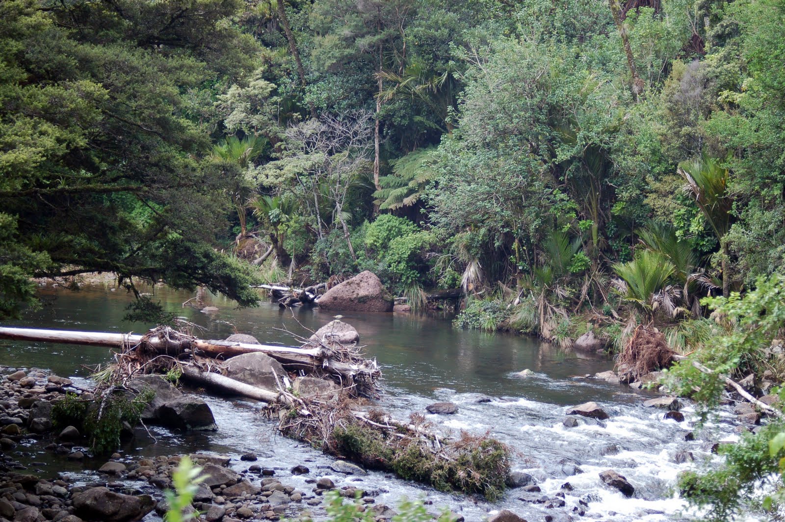 A Huge collection of Forests Rivers ~ A Huge Collection of Images