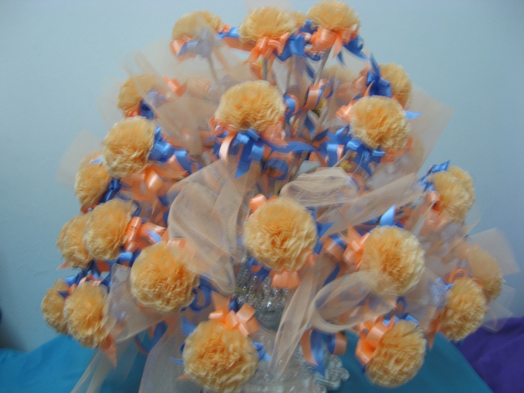 Mirza Simply Craft : BUNGA TELUR TISU CARNATION