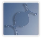 Alcon Cachet, a New Phakic IOL | San-Francisco-Chronicle-skyvisioncenters