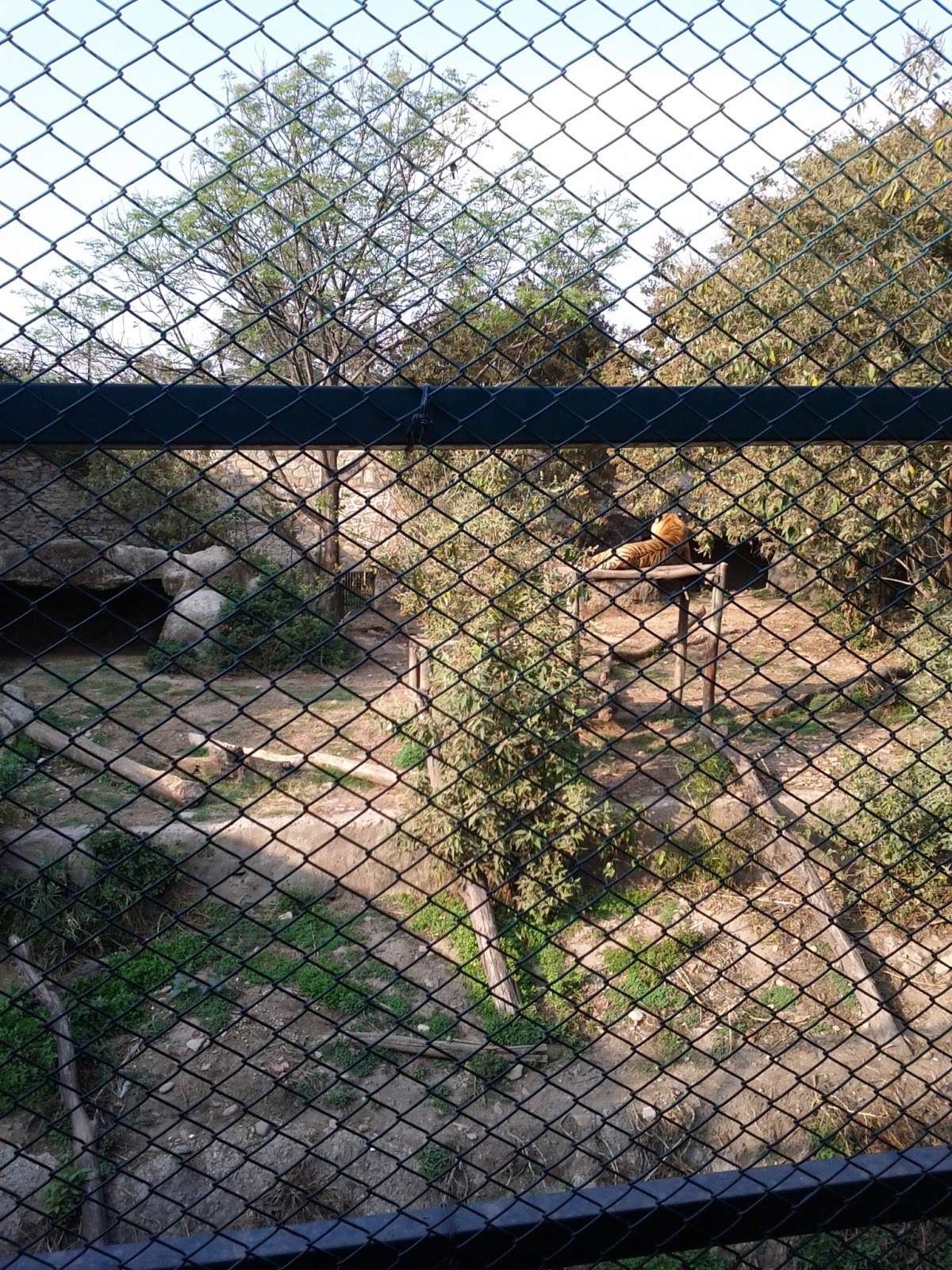 A review of Nepal's only Zoo - Central Zoo of Kathmandu, Nepal | The ...