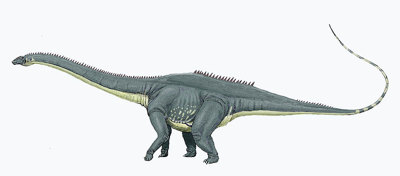 Escenarios prehistóricos: Diplodocus
