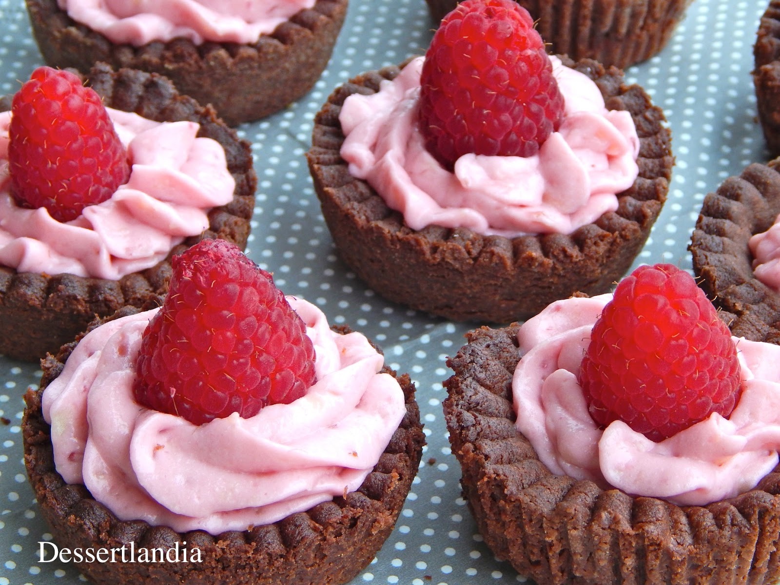 Dessertlandia: Delicate chocolate tartlets with a delicious raspberry cream