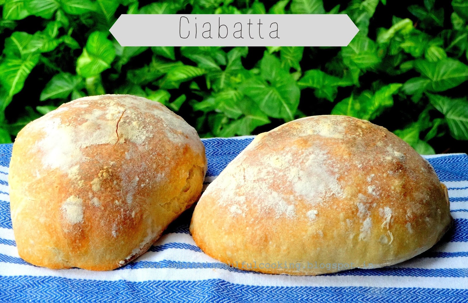 Ciabatta | Ambrosia