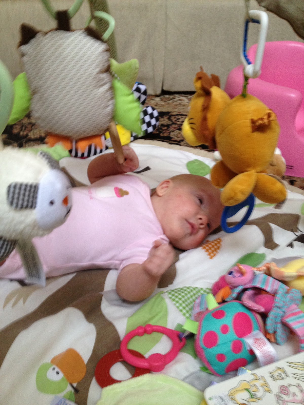 The Pair of Scates: Austin First Steps, plus My Last Week of Freedom!