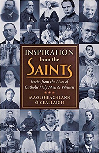 Irish Papist: Inspiration From The Saints....A Review from Sweden!
