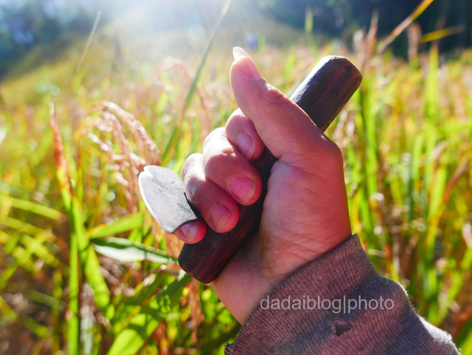 Mixinspiration: Peralatan menuai padi/Tools to harvest the Paddy/Rice
