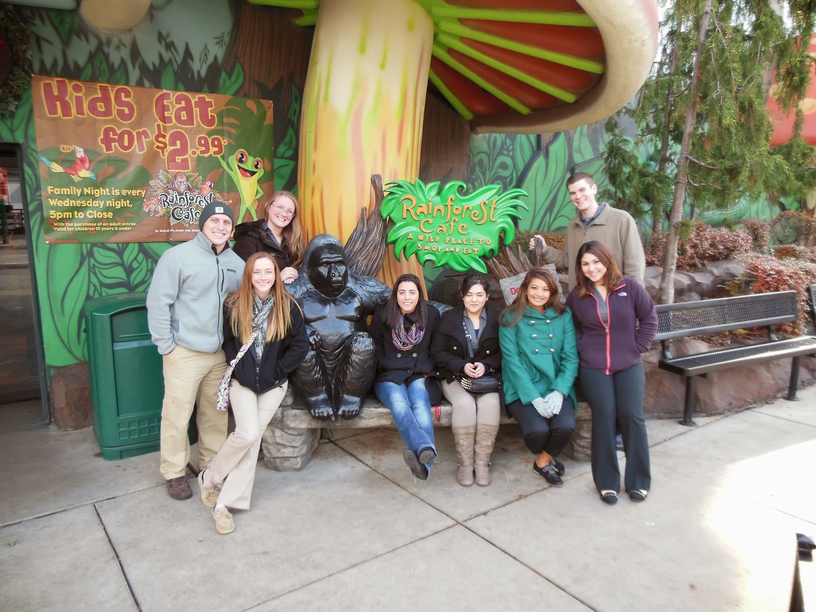 Financial Research and Education through Experience: FREE Gallery