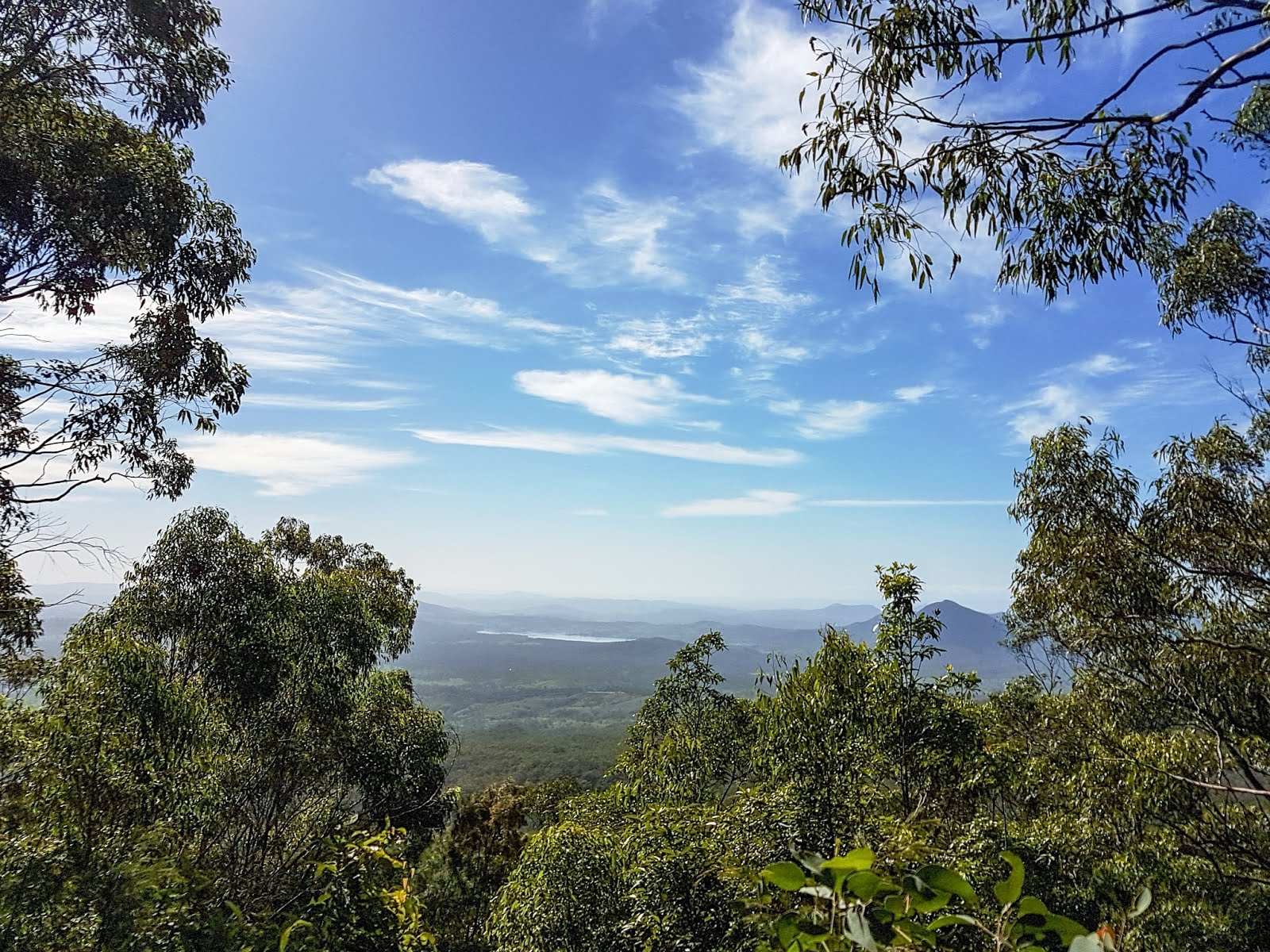 National Park Odyssey: Walks, Cunningham's Gap Section of Main Range ...