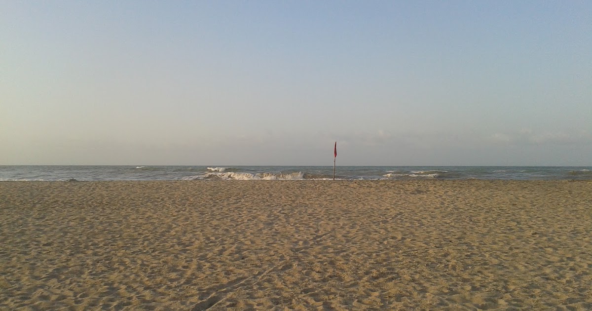 Pabellón de Palabras: Hemos de desembocar en este camino...