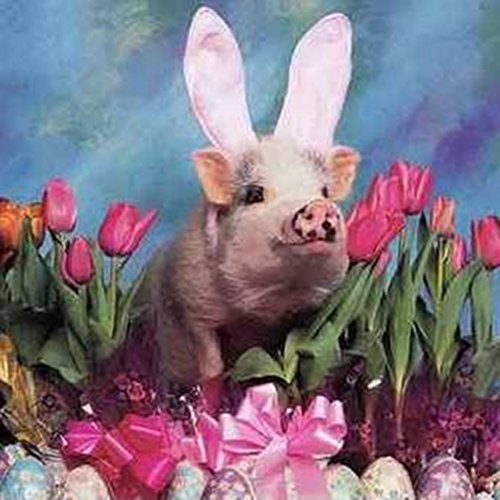 Culinary Alchemy: A Visit From The Easter Pig - Scotch Eggs in Sauce ...