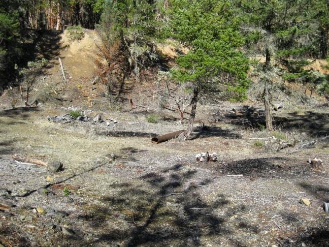 Hiking Sasquatch Country: 13 Gin Lin Mining Trail