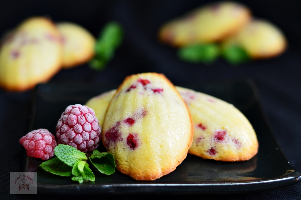 Madeleine (madlene) cu zmeura - CAIETUL CU RETETE