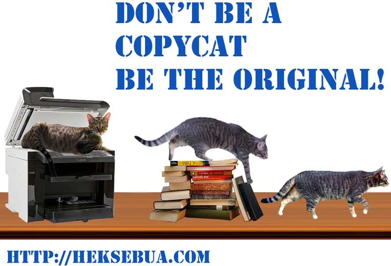 Ayesha's Innovations: Oh My God! These Copy Cats