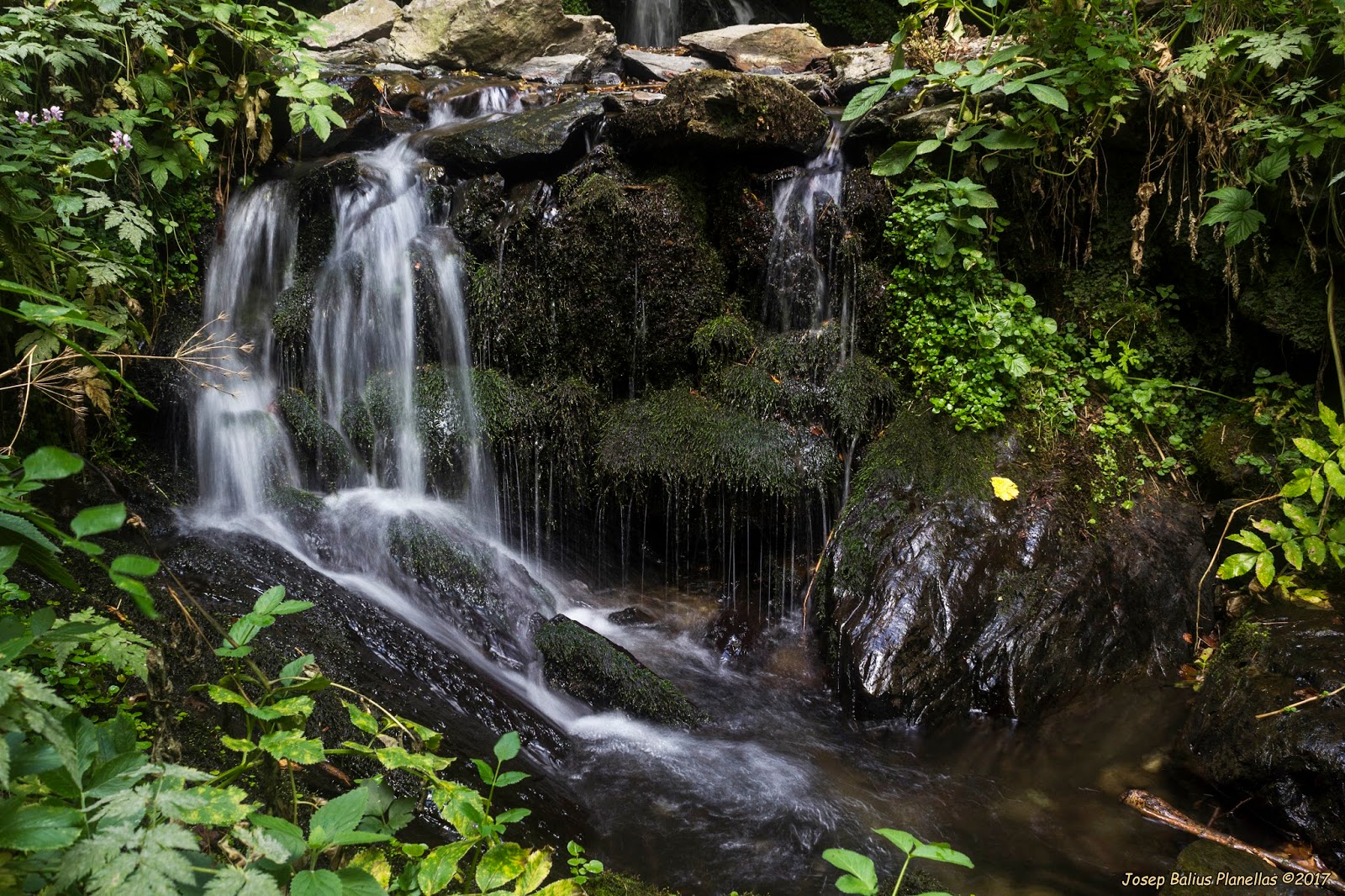 Racons de Catalunya: Salt del torrent de Pastuira (Setcases)