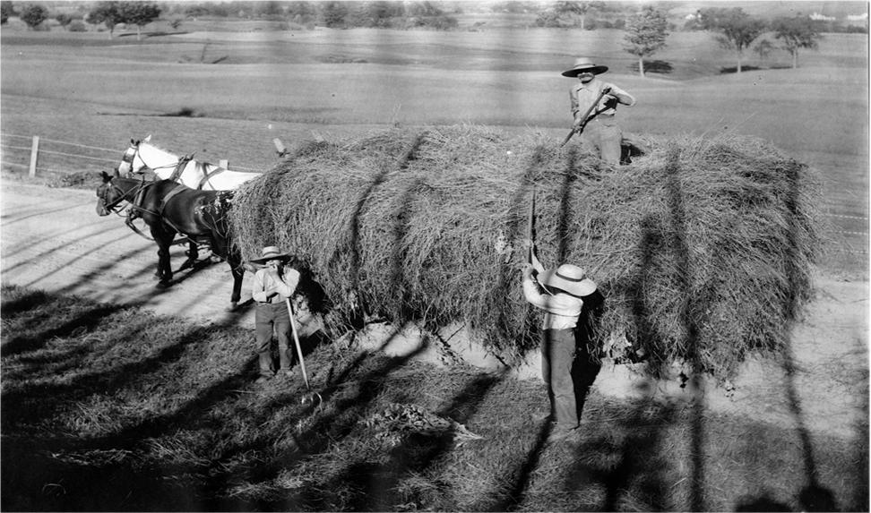The Farmers' Museum: Making Hay While the Sun Shines: Farm Life in August