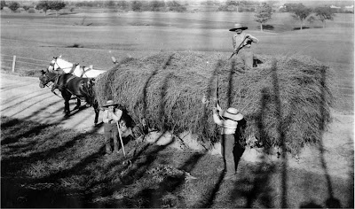 The Farmers' Museum: Making Hay While the Sun Shines: Farm Life in August